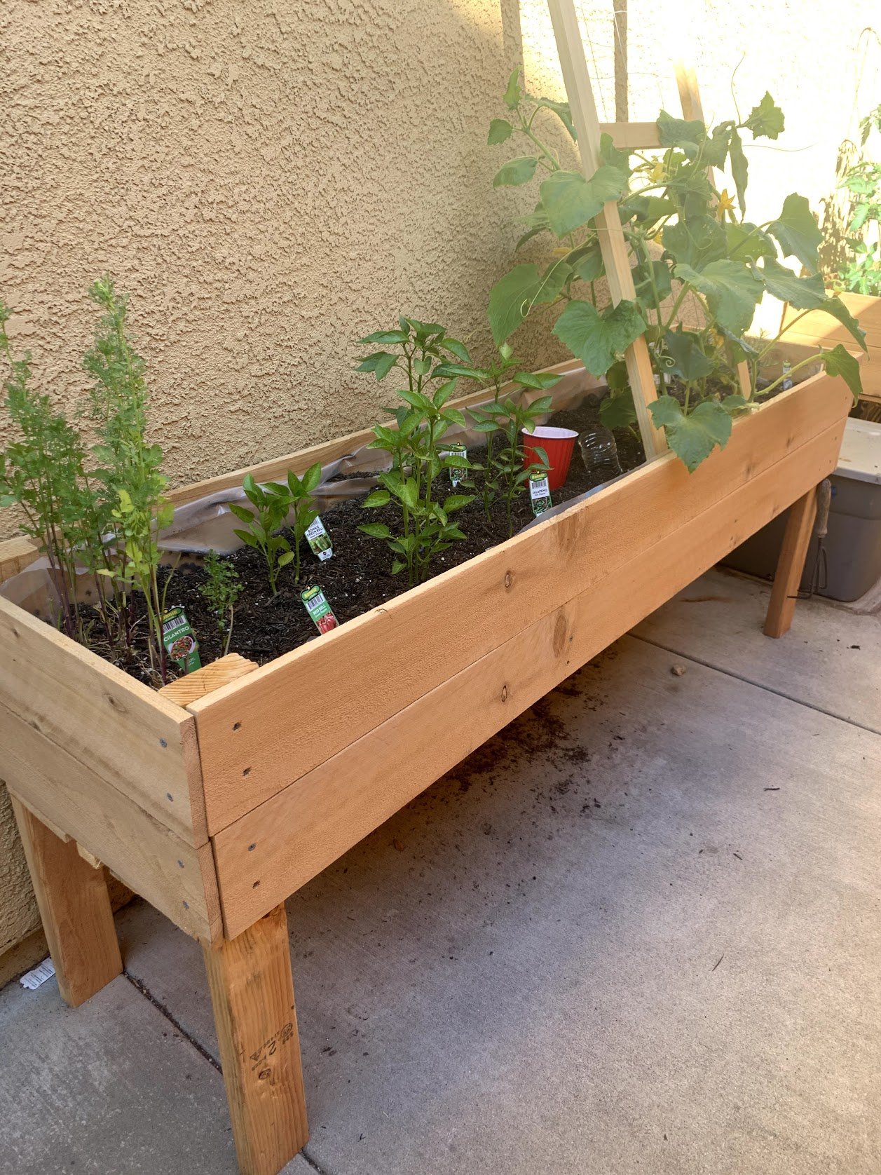 DIY Raised Planter Box - Carefully Clever